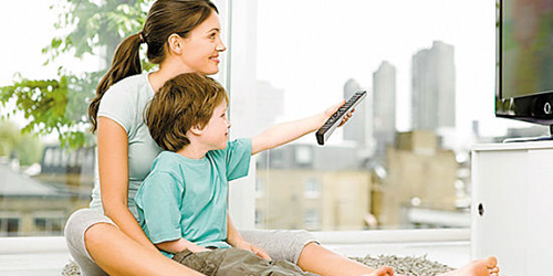 SERAPHIC - Cases Detail