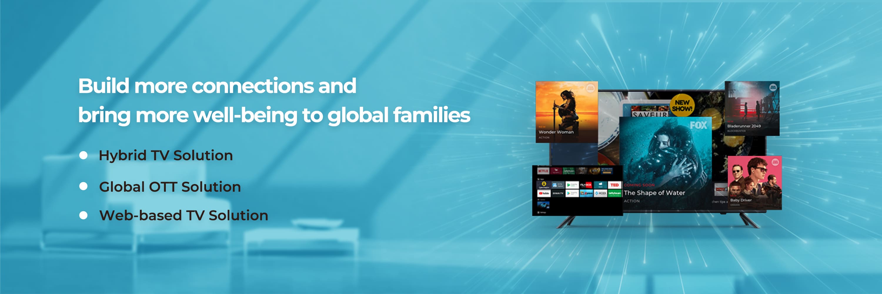 SERAPHIC-Products & Solutions